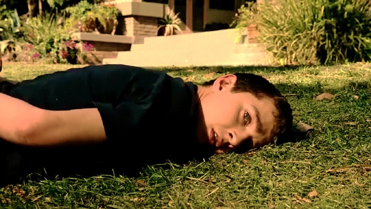 A Teen living under House Arrest becomes convinced his neighbor is a Serial Killer | Monkey ...