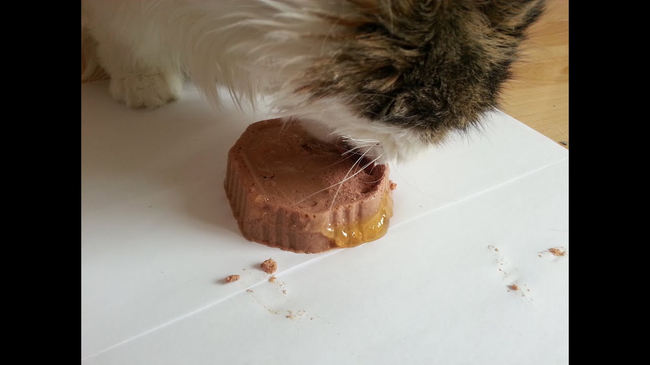 Sheba Finesse Mousse Salmone - YouTube