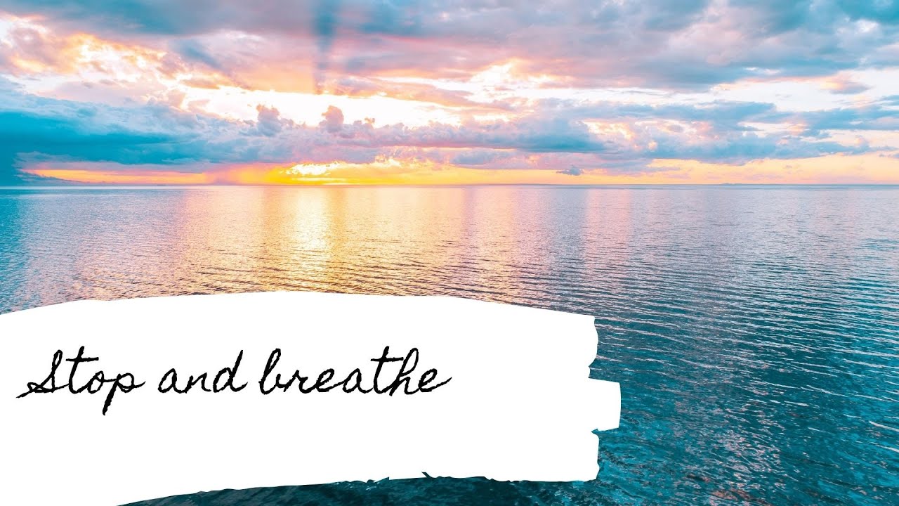 Stop and breathe, take a moment to get back to the present moment ...