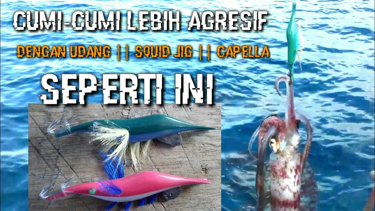 Mancing Cumi Di Pulau Ogotion-Angler Cumi - YouTube