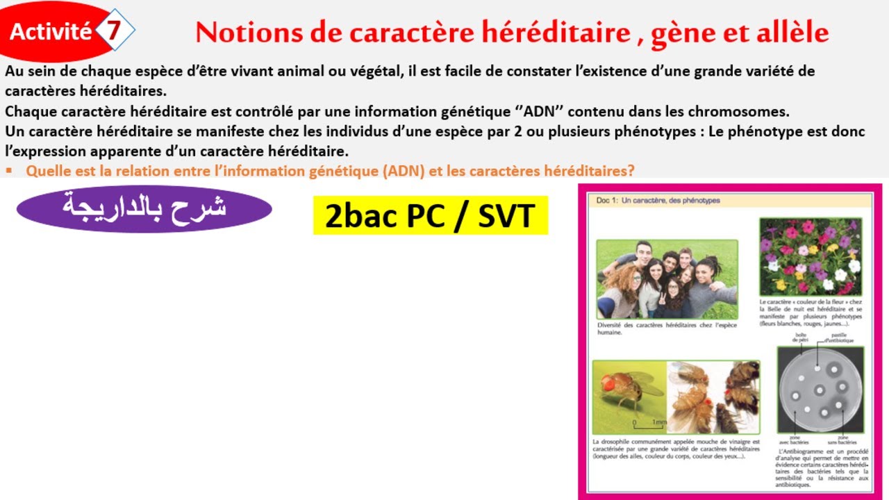 Notions de caractère héréditaire, gène et allèle 2bac pc/ svt biof (شرح ...
