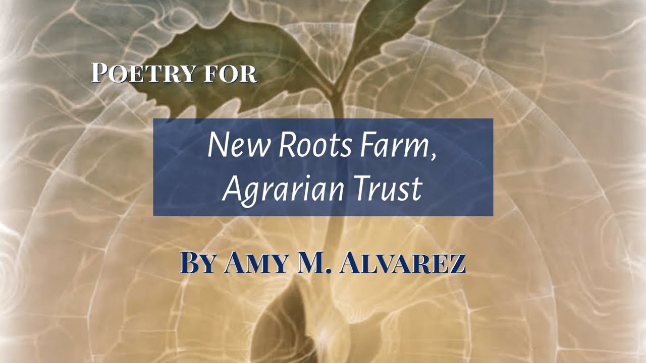 Writing the Land: Amy M. Alvarez reads a poem for the Agrarian Trust ...