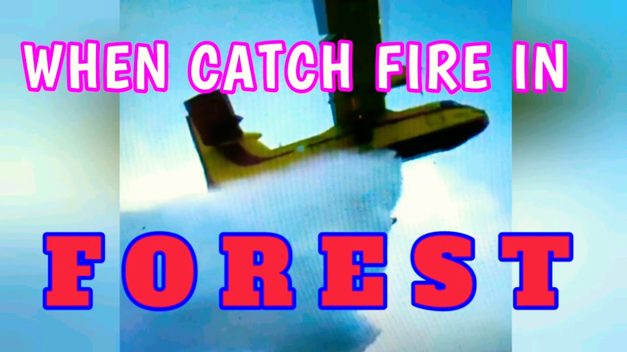 when catch fire in forest - YouTube