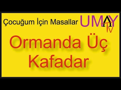 Çocuğum İçin Masallar - 1 - Ormanda Üç Kafadar