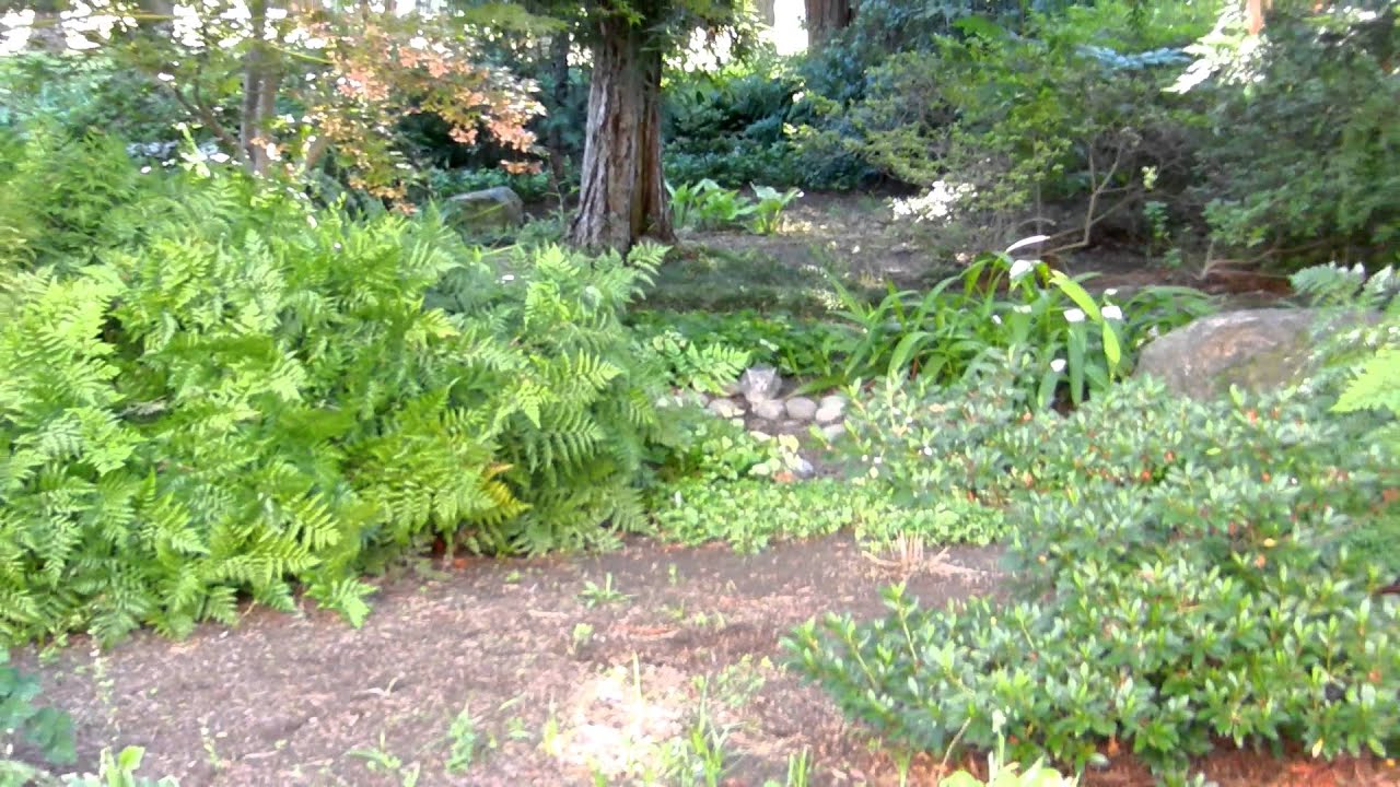 Nikon Coolpix S9100 camera sample video