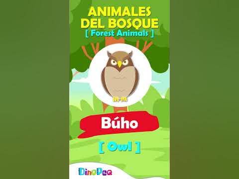 ANIMALES del Bosque 🦊 (Parte 2)| VOCABULARIO en INGLÉS para NIÑOS # ...