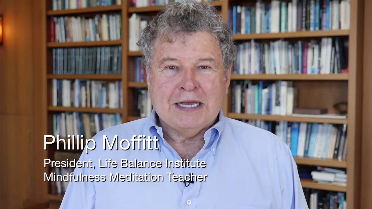 What is Mindfulness? - Phillip Moffitt - YouTube
