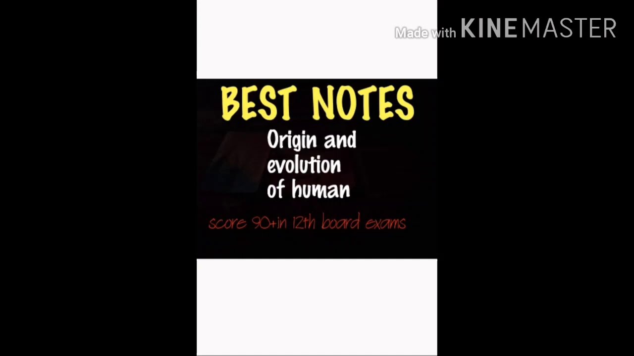 Origin and evolution of human lesson 7 class 12 biology handwritten ...