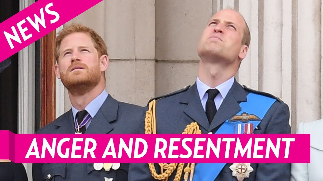 Prince Harry and Prince William Still Have ‘Anger and Resentment ...