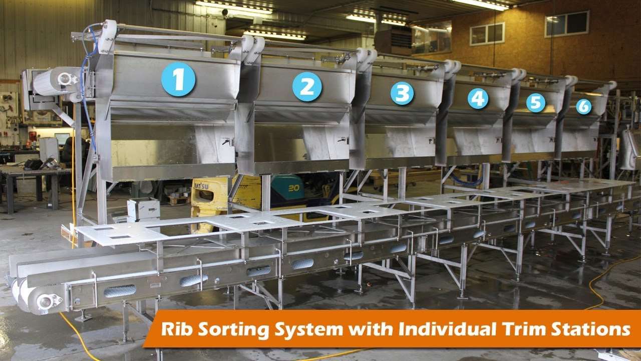 Rib Sorting System with Individual Trim Stations - YouTube