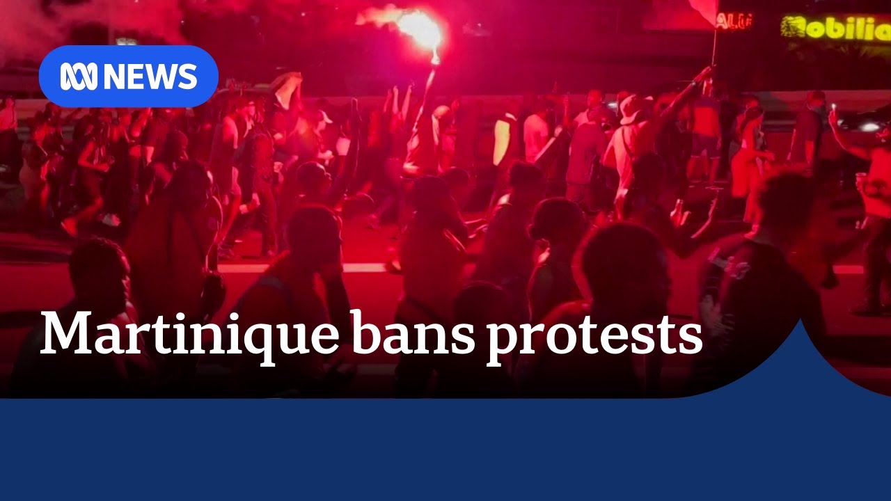 Martinique's authorities ban demonstrations after violent protests ...