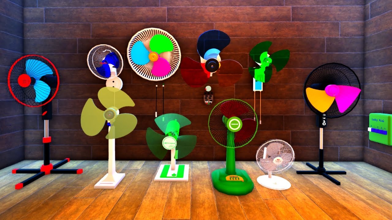 New Starting Place With Many Fan Display, Rare Fans - YouTube