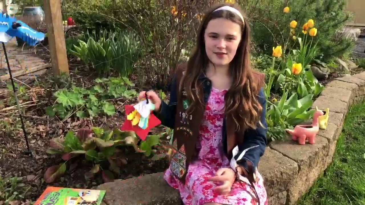 Bridging Video Daisy to Brownie - YouTube