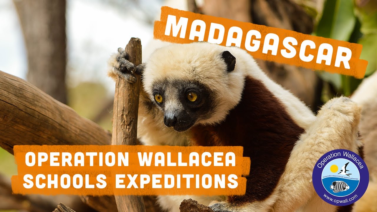 Operation Wallacea - Madagascar Schools Expeditions - YouTube