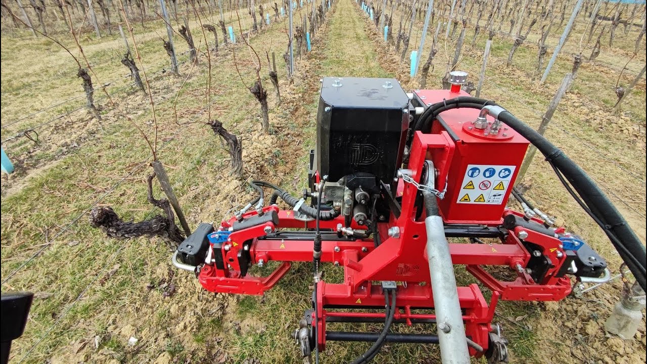 ID DAVID NAMIC + TYM 503 - YouTube