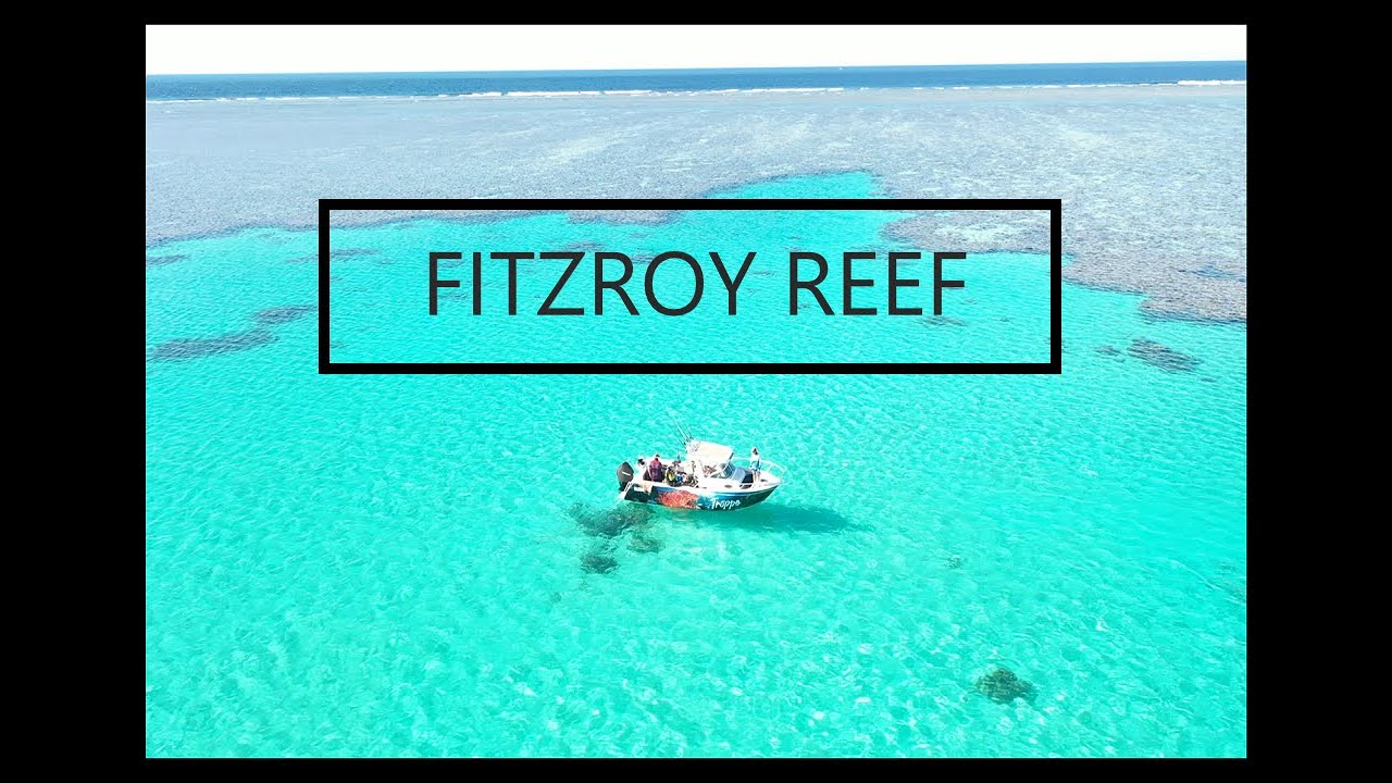 Fitzroy Reef Trip - YouTube