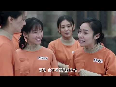 Please give me a pair of wings fully eng sub
