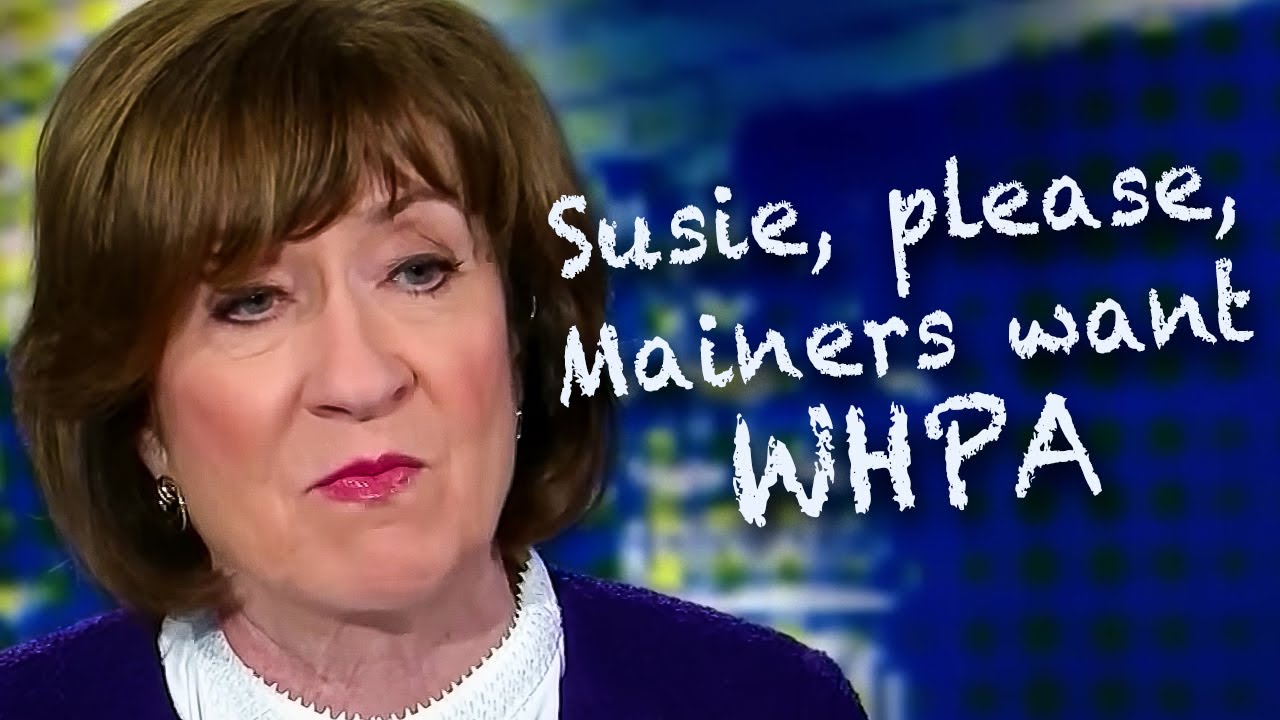 Susan Collins Frowns...Then Calls Police On Chalk Drawing - YouTube