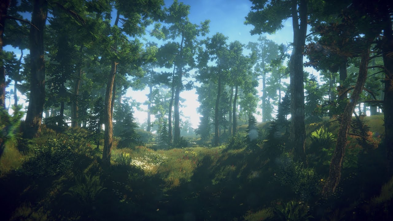 Trees Variety 2.4 - YouTube