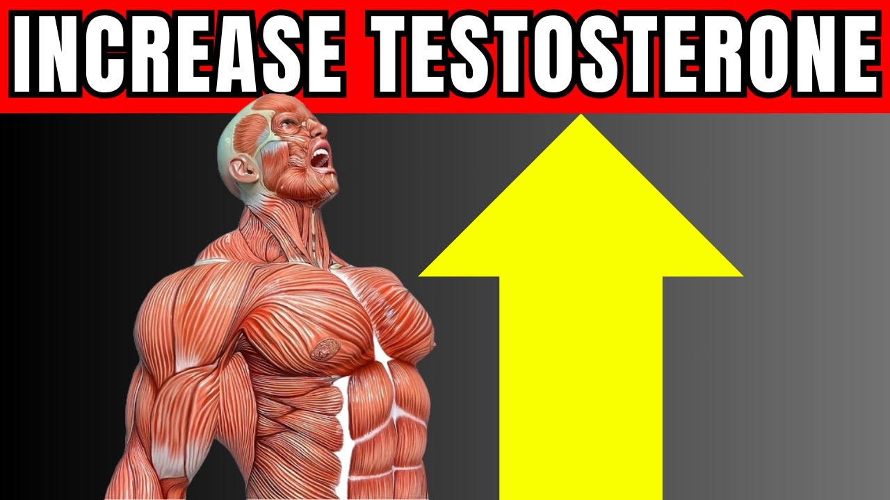 10 Simple Foods To Increase Testosterone Level Naturally (RESULTS ...