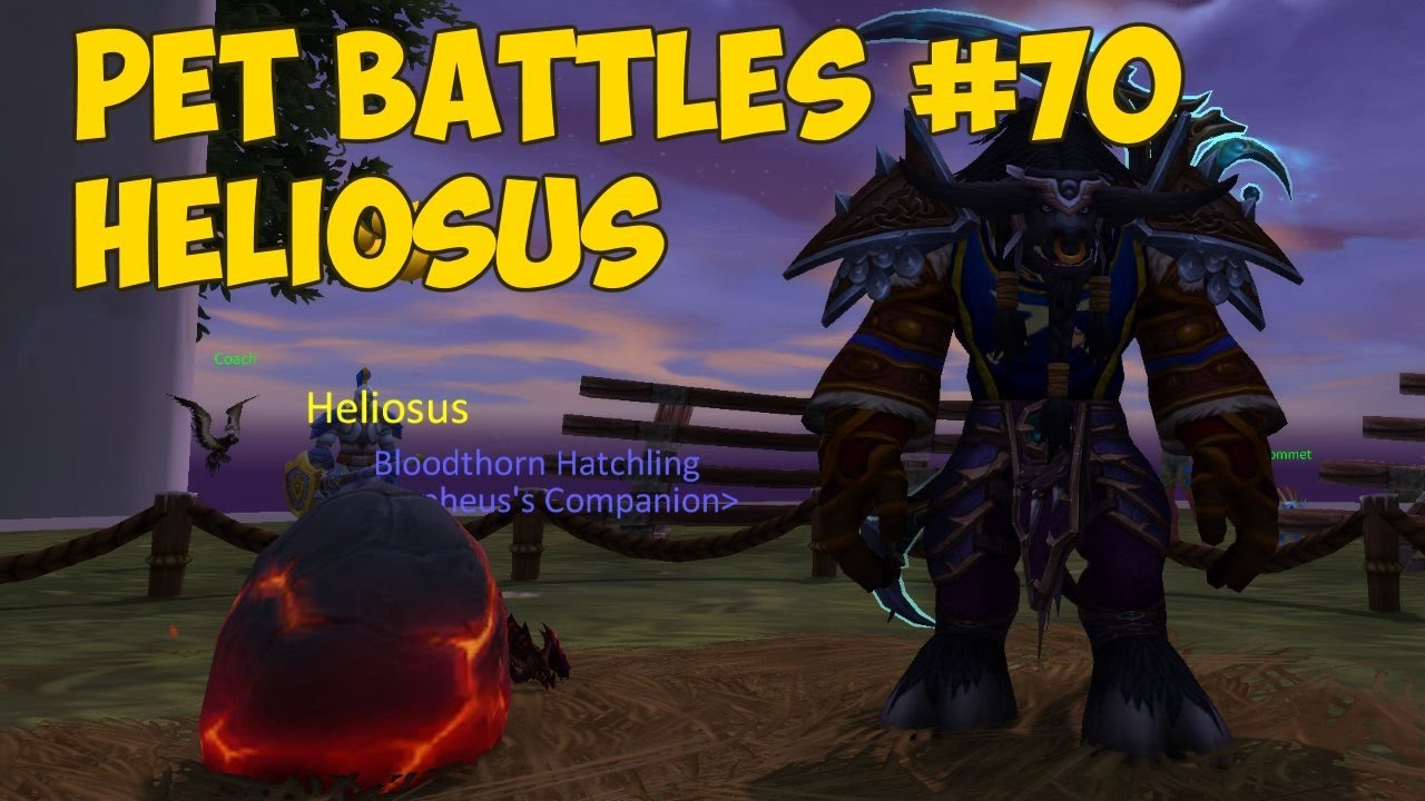 Pet Battles #70 - Heliosus - YouTube