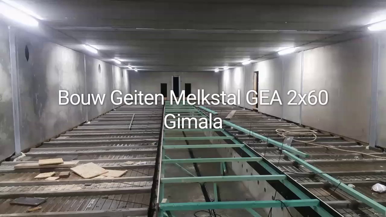 Bouw Geiten Melkstal GEA 2x60 Rapid Exit Gimala Weert - YouTube