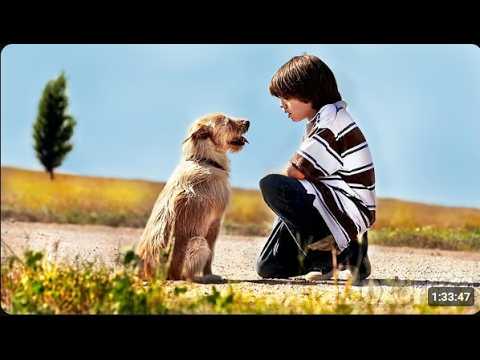My Bestie Smitty  FAMILY DRAMA  Full Movie
