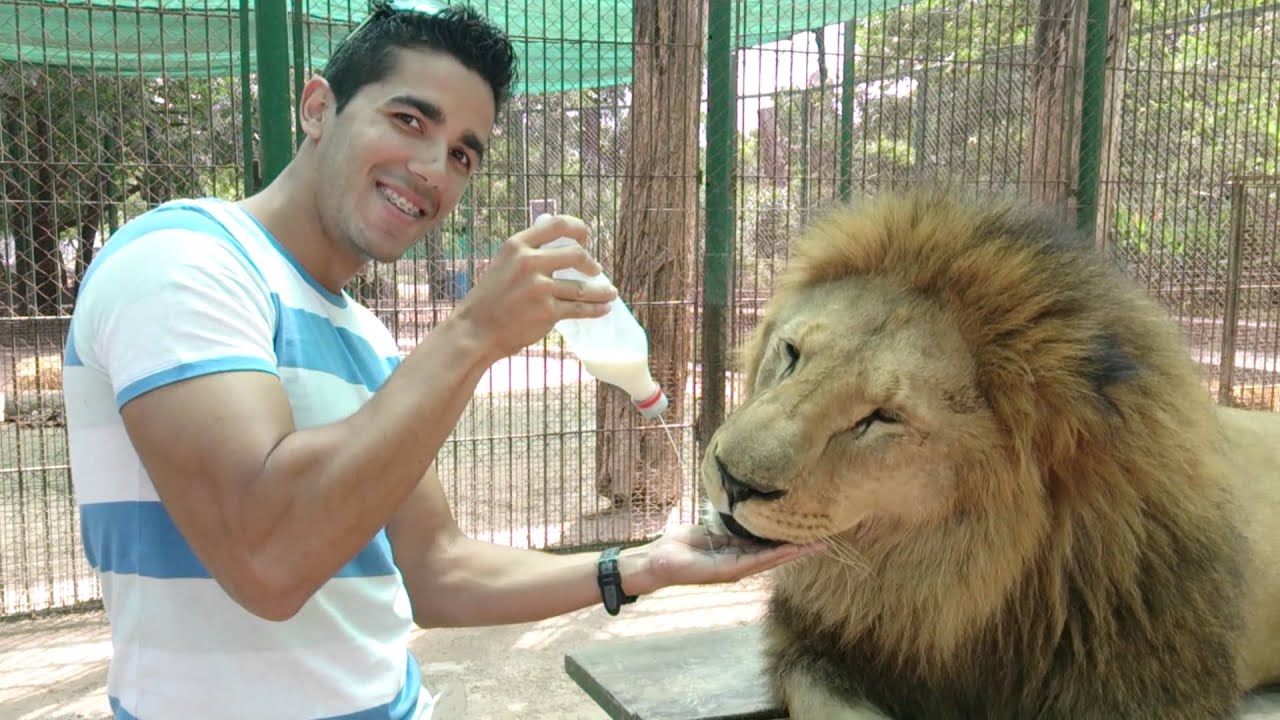 Alimentando a un LEON - YouTube