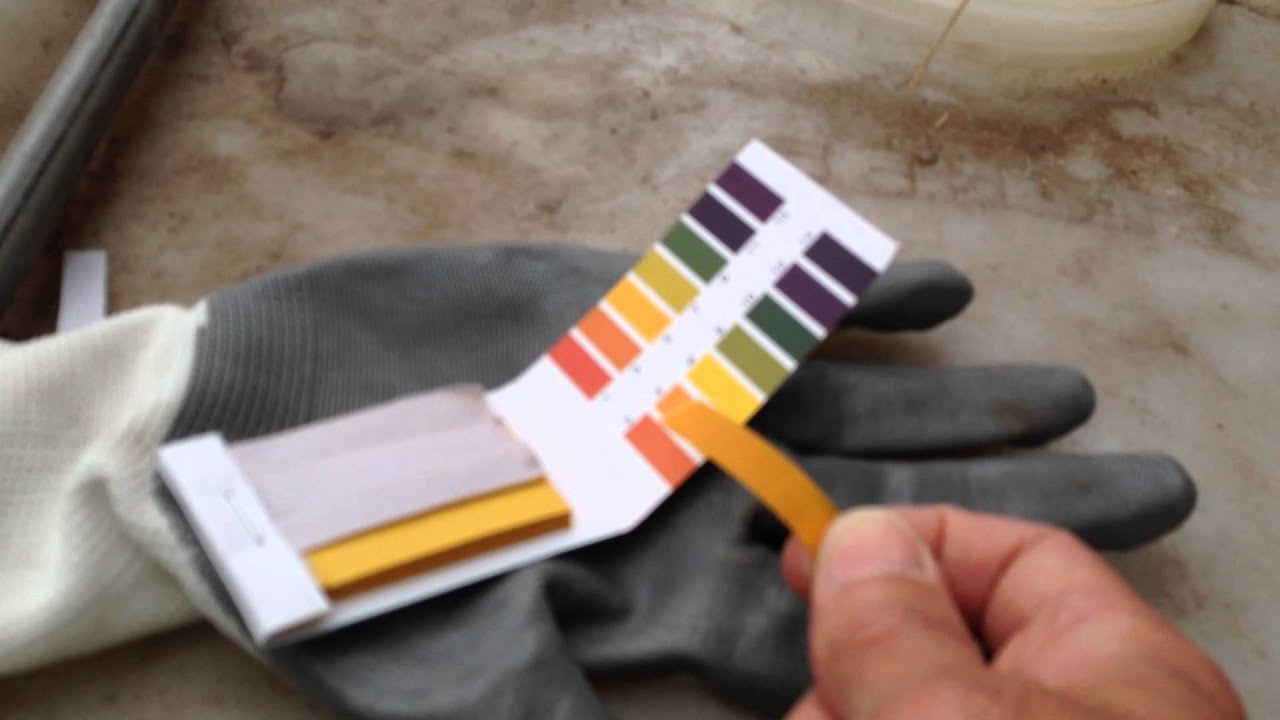 Activation 5/5 - pH Testing (3-3.5 pH) - YouTube