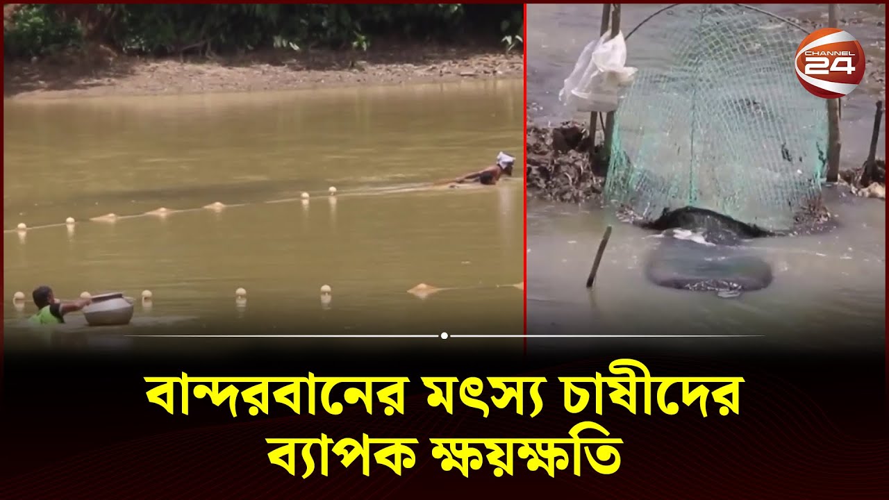 বান্দরবানের মৎস্য চাষীদের ব্যাপক ক্ষয়ক্ষতি | Bandarban Fish | Chottogram | Channel 24 - YouTube