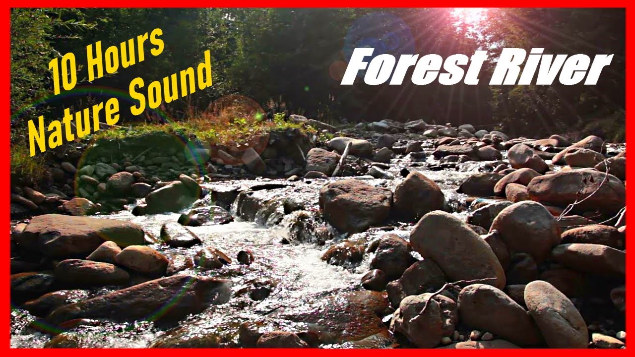 Running River Sounds for Sleep, 10 Hours, Water Flowing Sound, Nature ...