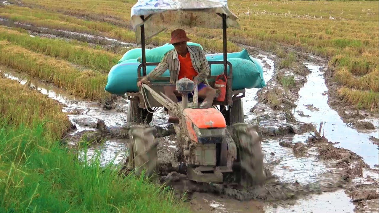 Amazing machine working transport rice throw Difficult road l Best ...