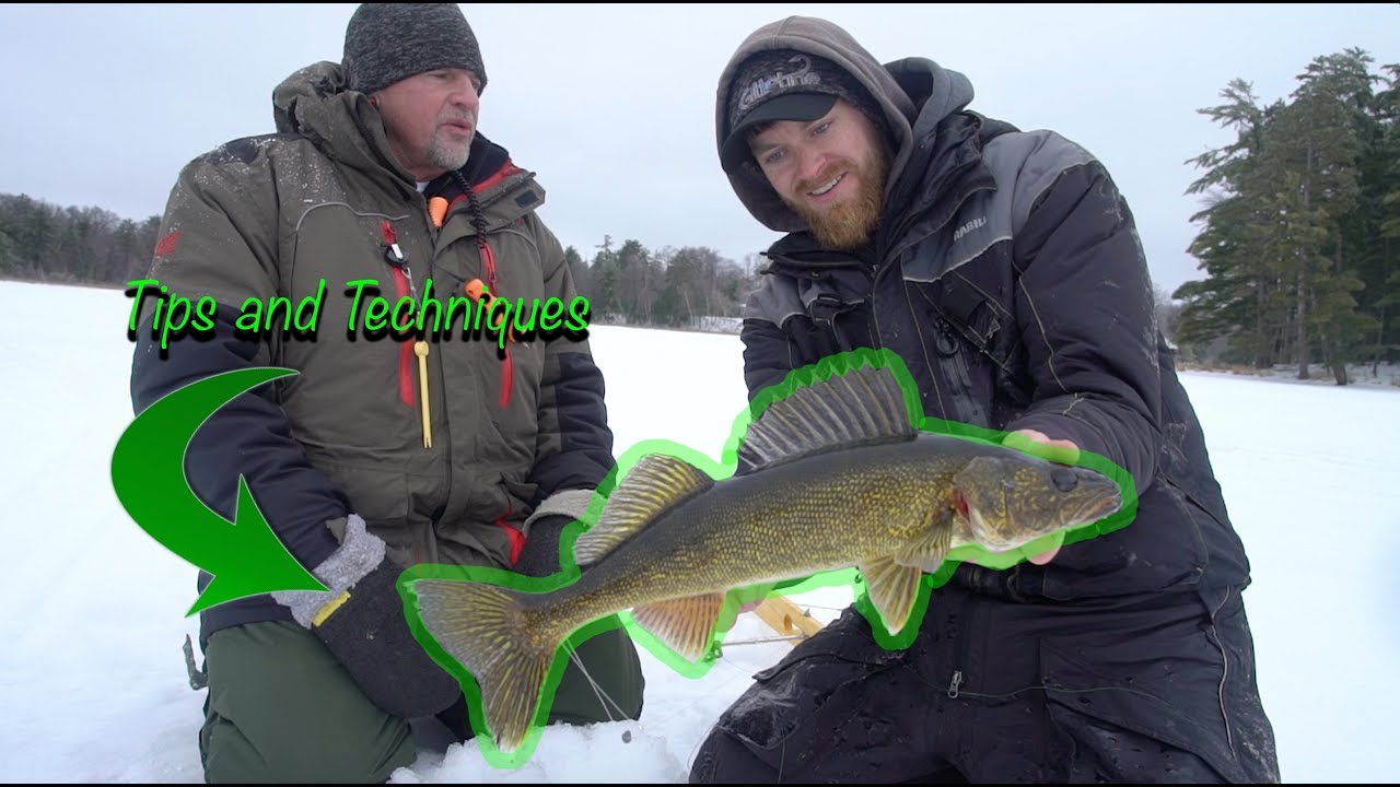 Mid-Winter Mud flat Walleyes and Perch - YouTube