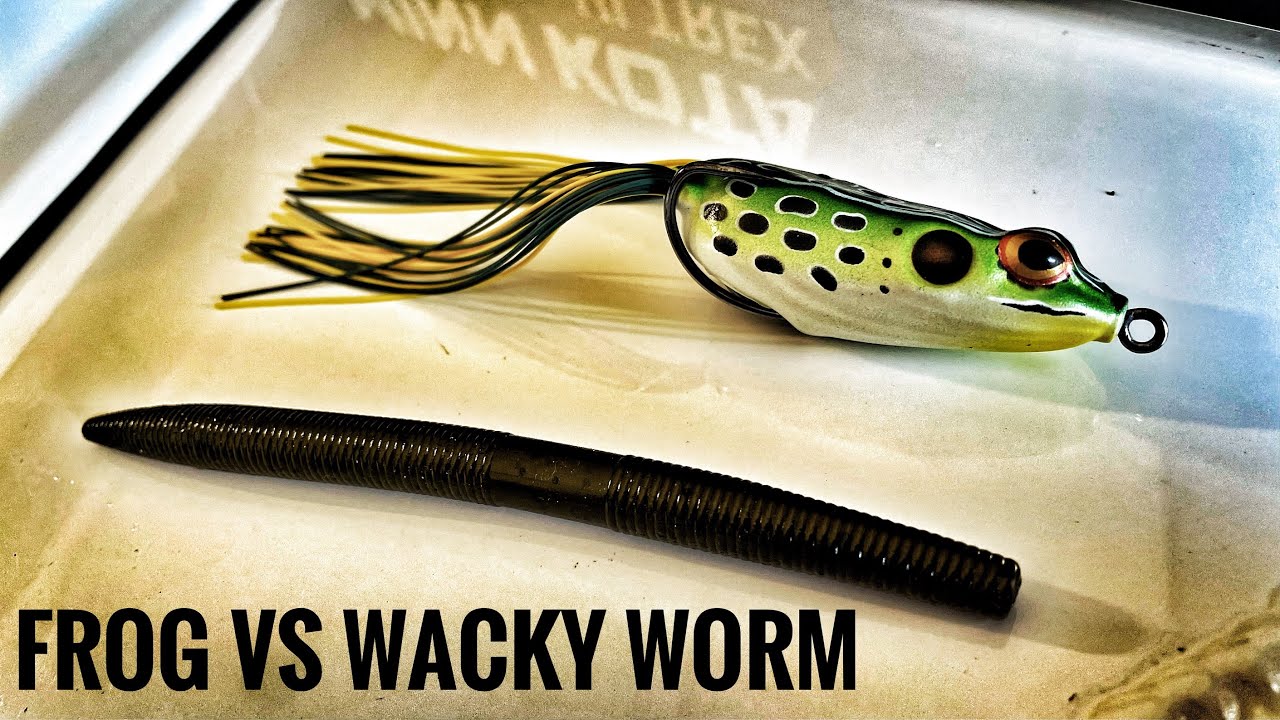 FROG vs WACKY WORM | 1v1 Fishing Competition - YouTube