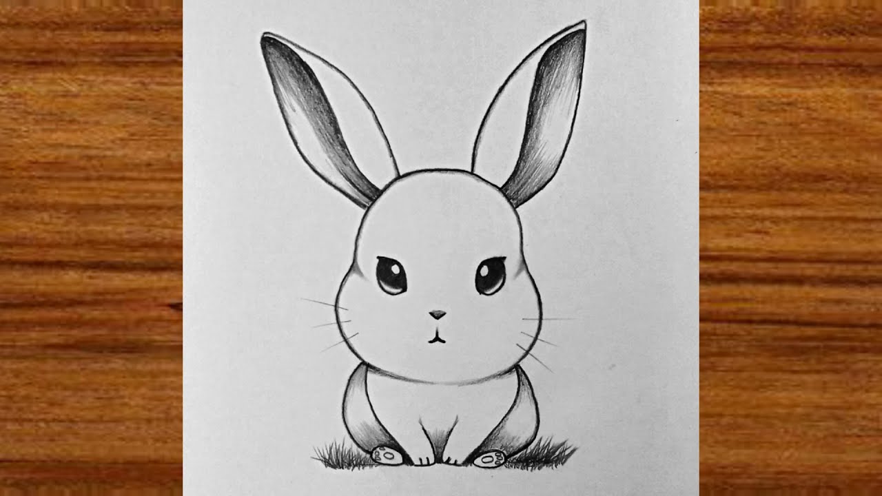 Easy Rabbit bunny drawing | How to draw a Rabbit Easy Step by Step ...