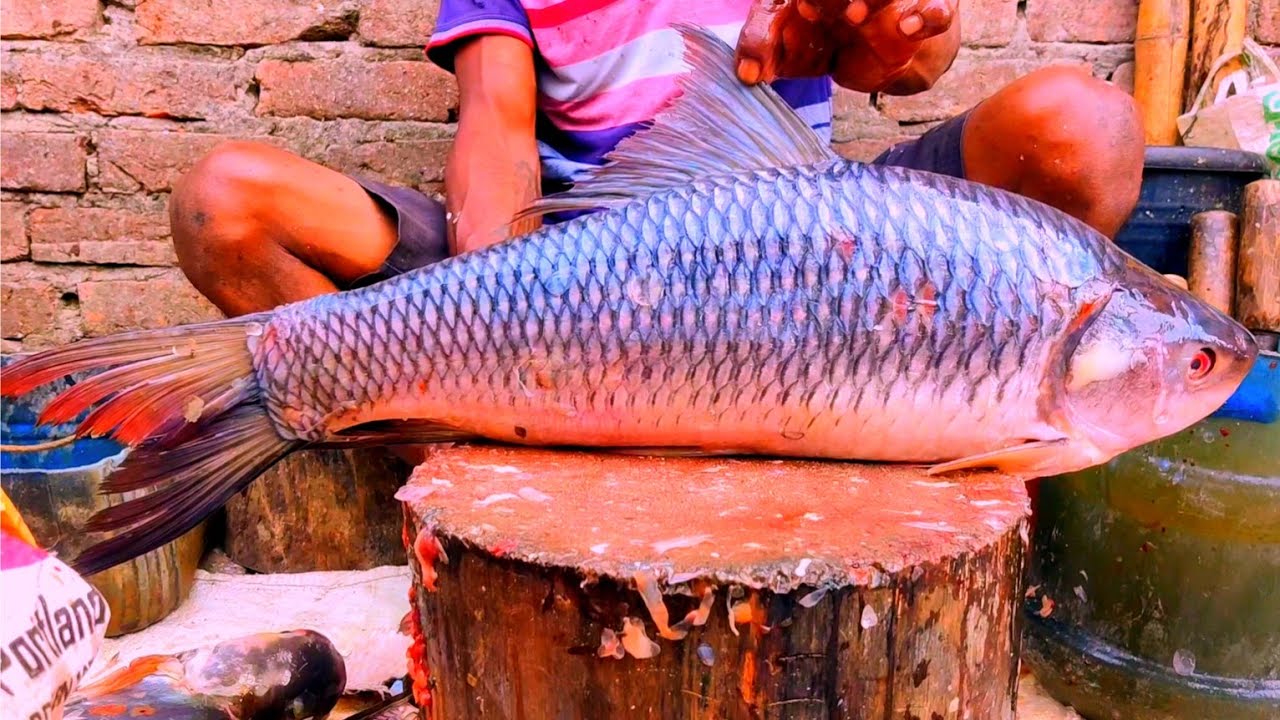 Amazing Cutting Skills | Big Rohu Fish Skinning & Chopping By Expert ...
