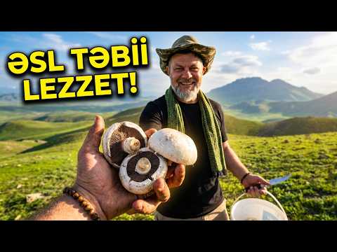 Mantar göbələk #mantar #azerbaijan #food #nature #naxçivan #food 