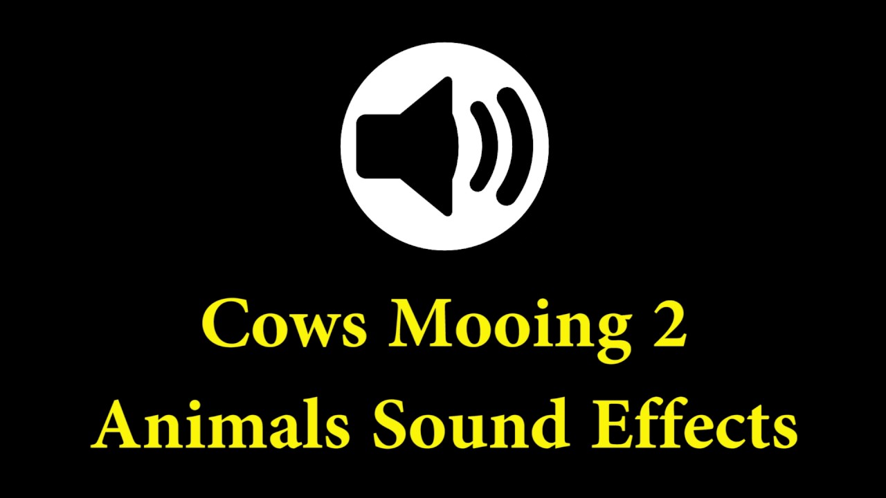 Animals Sound Effects - Cows Mooing 2- Cartoon Sound Effect - sfx free ...
