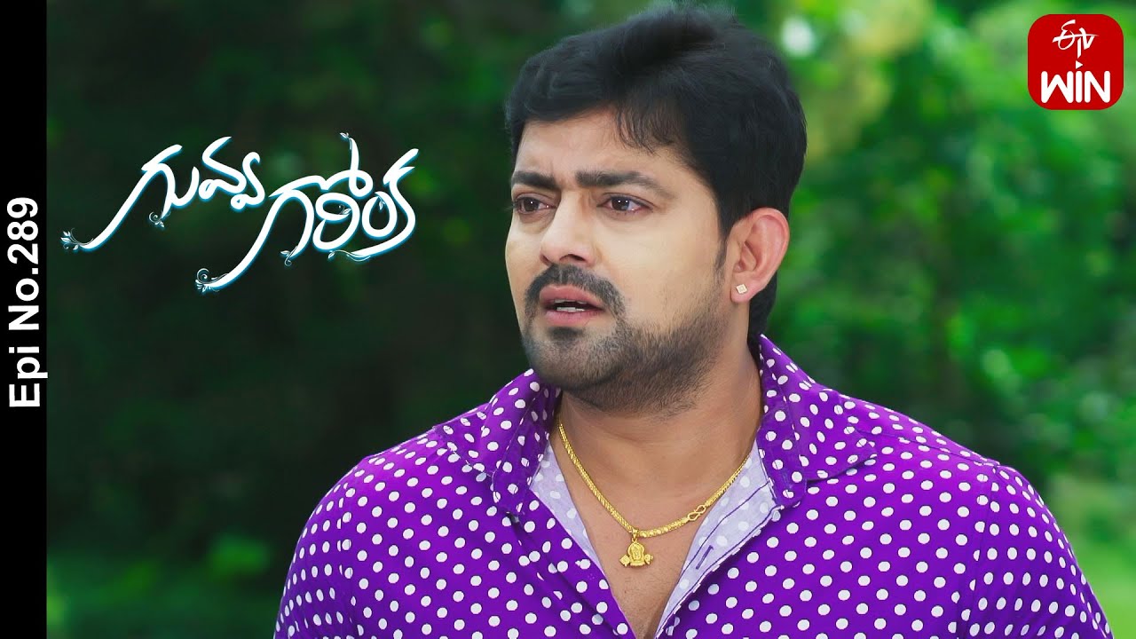 Guvva Gorinka | 6th November 2023 | Full Episode No 289 | ETV Telugu ...
