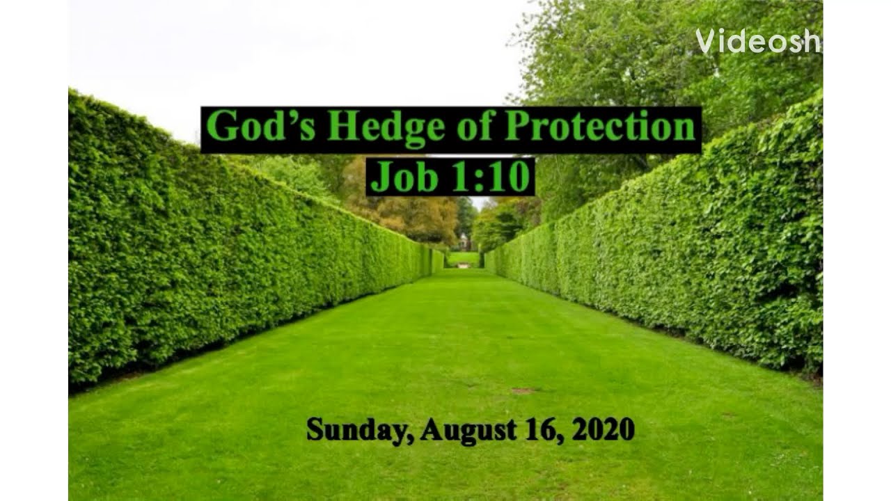 God’s Hedge of Protection - YouTube