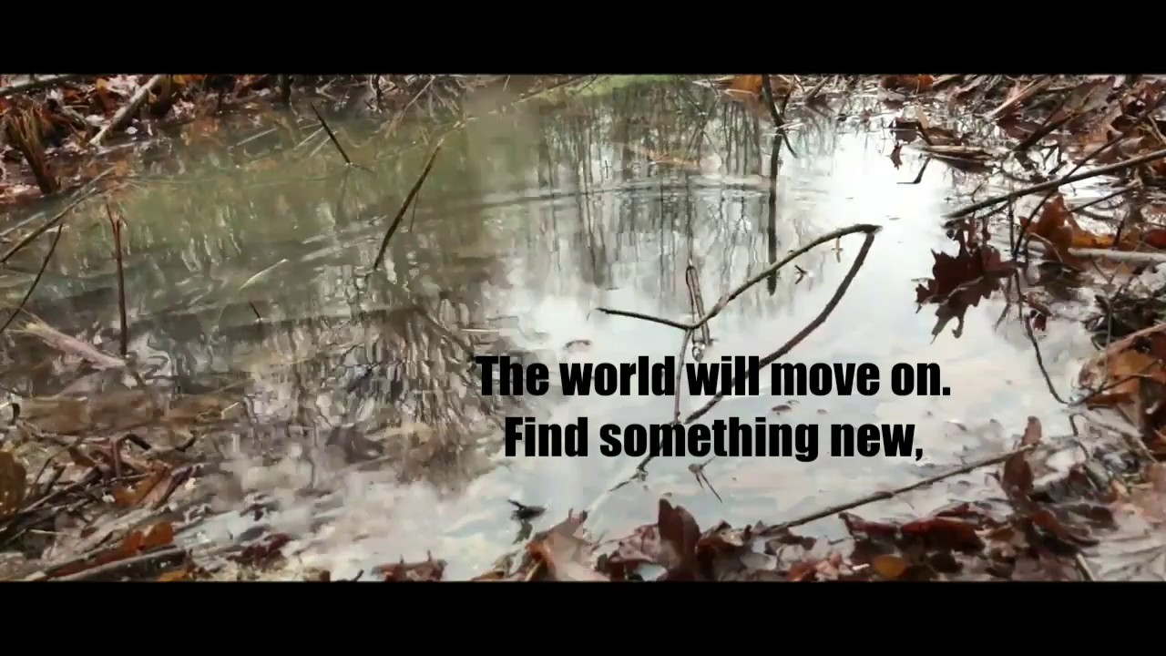 Into The Soil... - Lipi Gupta - YouTube