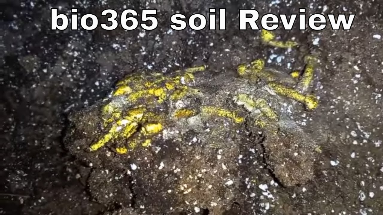 Bio365 Soil Review - YouTube