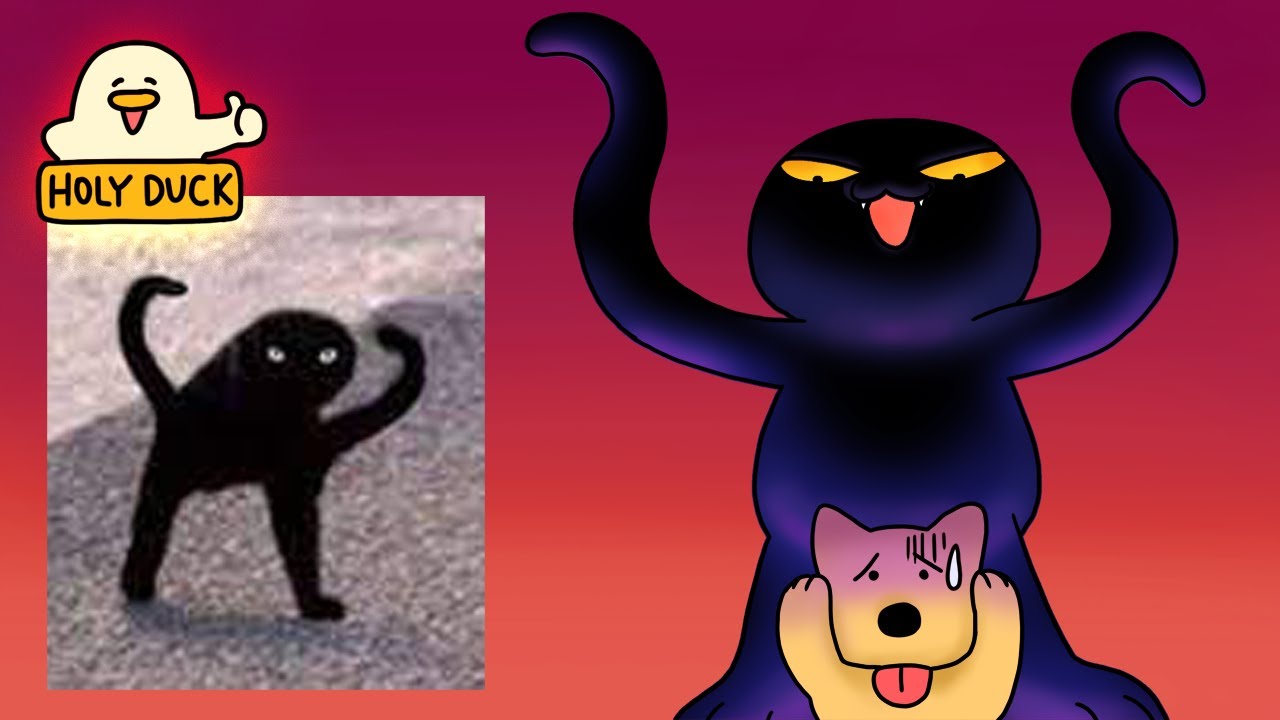 Cursed Black Cat and Dog - YouTube