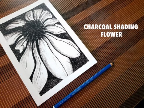 EASY FLOWER DRAWING WITH CHARCOAL PENCIL| FLOWER DRAWING FOR BEGINNERS ...