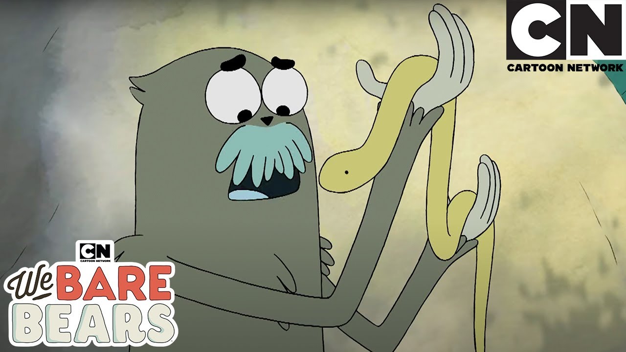 Snake BFF | We Bare Bears | Cartoon Network | Cartoons for kids - YouTube