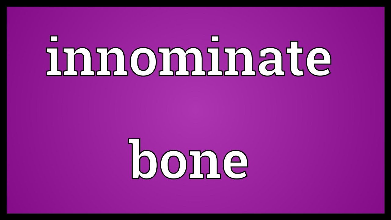 Innominate bone Meaning - YouTube