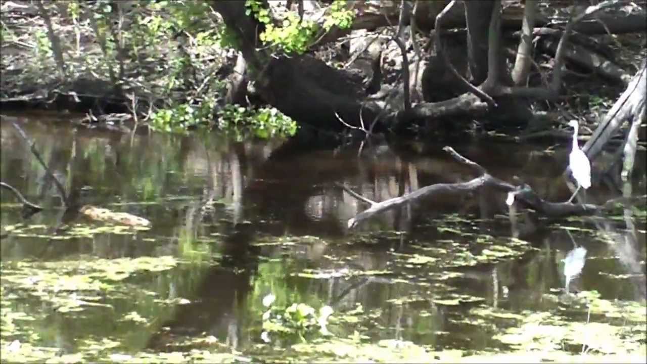 Way Down In The Hole - (The Wire Theme/Tom Waits cover) - YouTube