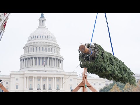 Timelapse of U.S. Capitol Christmas Tree from Nevada
