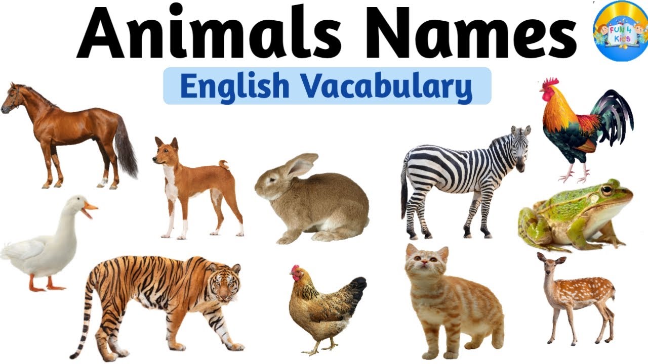 Animals Names || Learn Animals Names for Kids || Learn English ...