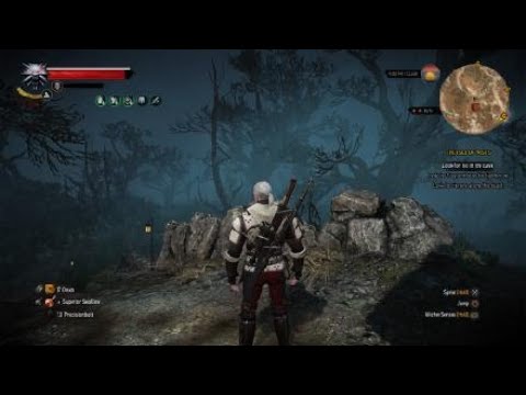 The Witcher 3: Wild Hunt – Part 139: The Isle of the Mist I - YouTube